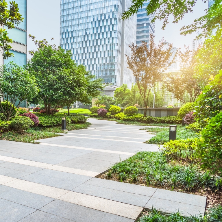 Boombeluchtingsbuis Rawinso | Wildkamp